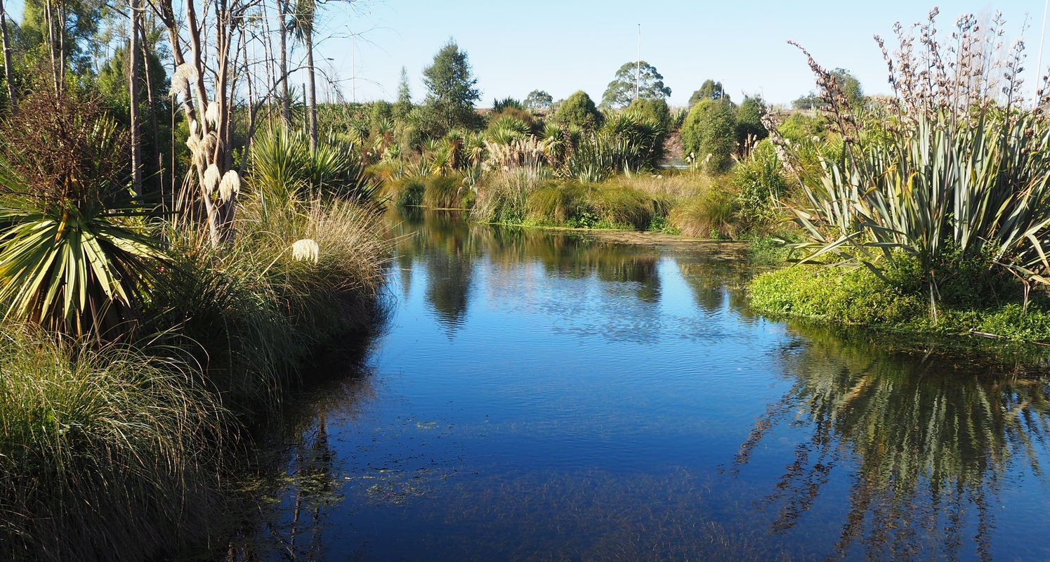 A Swamp’s Gentle Reminder – Polish History New Zealand